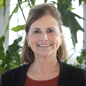 CEA Executive Management Team